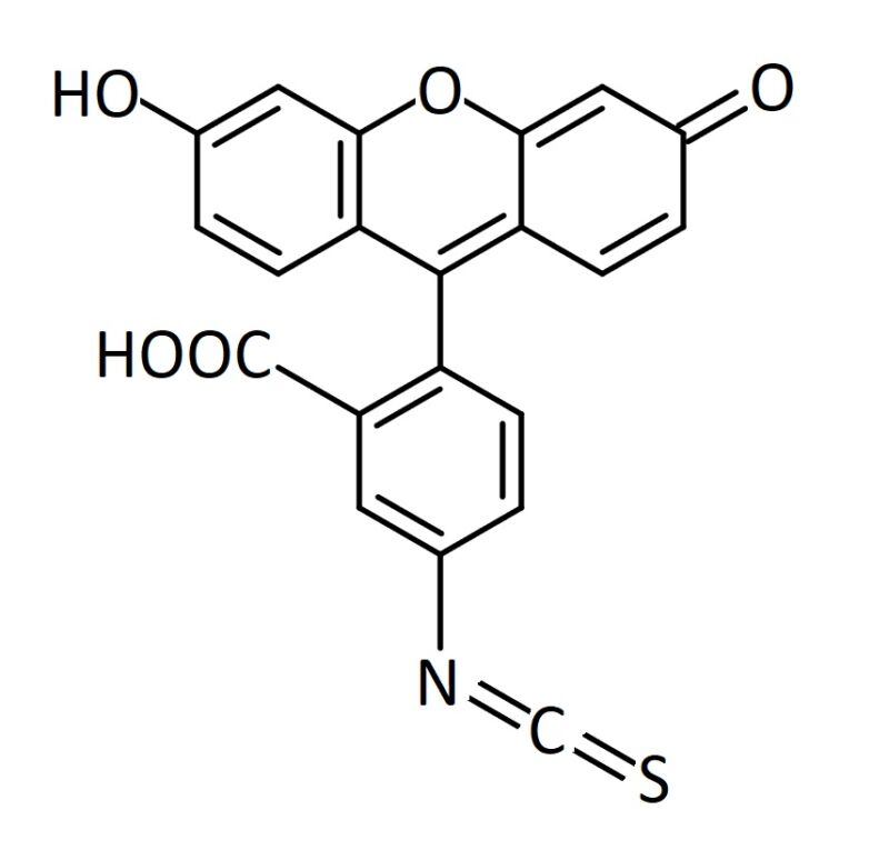 FITC (Fluorescein isothiocyanate) | TdB Labs