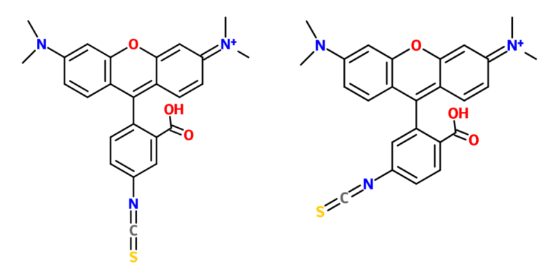 TRITC (Tetramethylrhodamine isothiocyanate) | TdB Labs