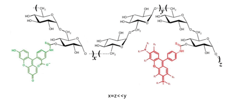 FITC-Antonia Red-dextran 20 - TdB Labs